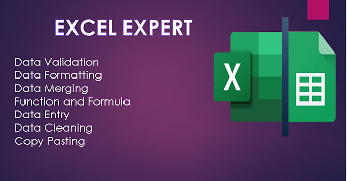 Excel expert specializing in analysis, and automation by Chaudharyns ...