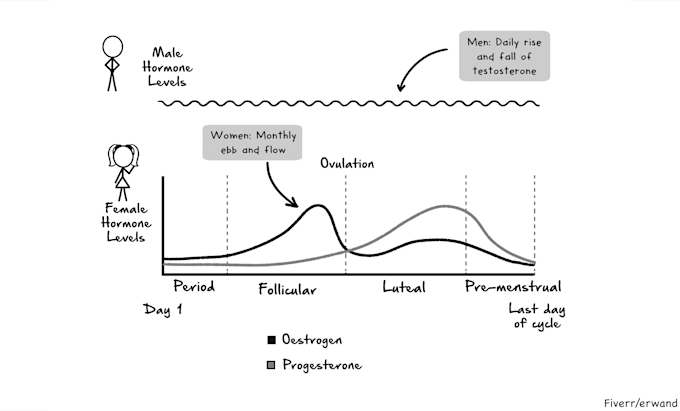 Draw freestyle doodle hand drawn diagrams, icons or charts by Erwand ...