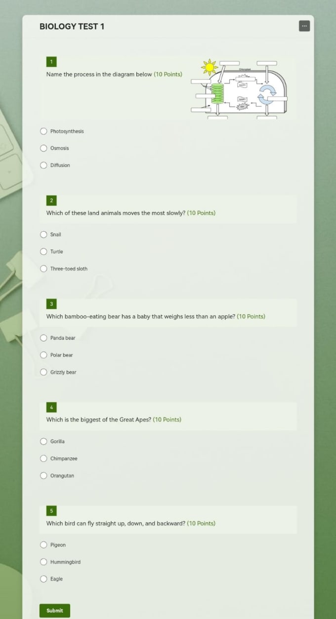 Create professional online forms or surveys using google or microsoft ... Create professional online forms or surveys using google or microsoft ...