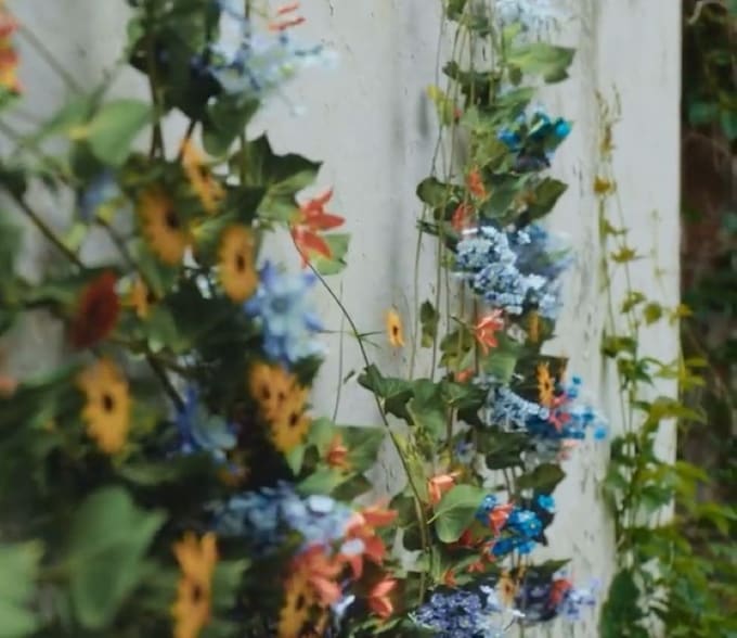 Do 3d flower animation, flower vfx, flower animation, 3d cgi product ...