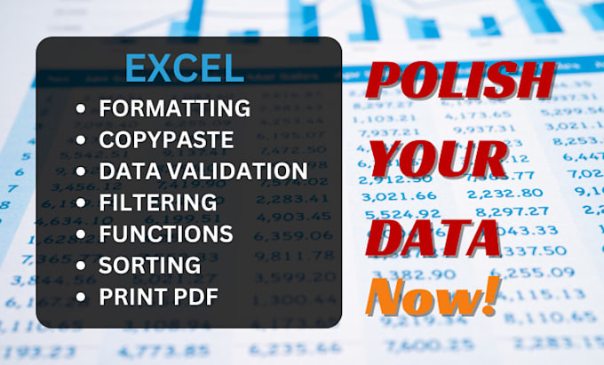 Excel Data Formatting Filtering Sorting And Validating By Mohammedfathah Fiverr