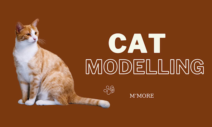 Be your cat model and photographer by Mide_more | Fiverr