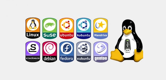 Install and configure the linux server by Jinzhi_ac57 | Fiverr