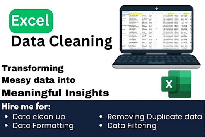 Do ms excel data cleaning, formatting, sorting and filtering by Zilehusnain | Fiverr