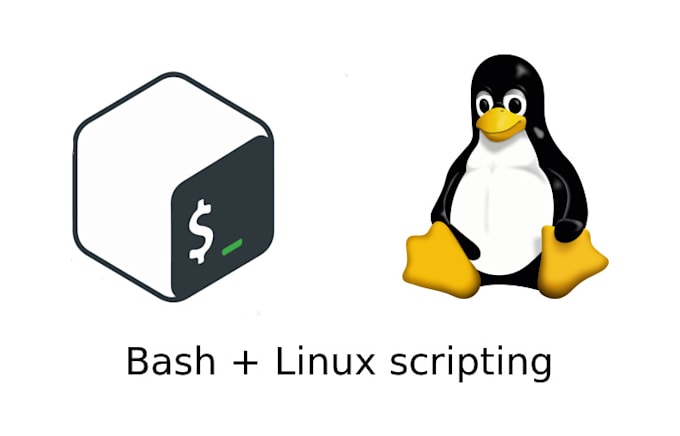 Create a bash scripts by Rafalgajda | Fiverr Create a bash scripts by Rafalgajda | Fiverr