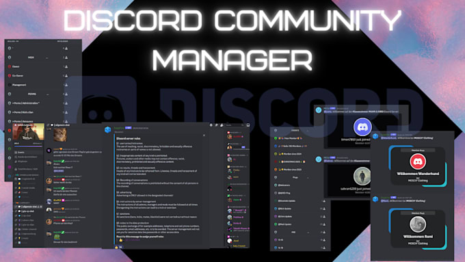 Be you discord moderator, manager or setup your discord by Fl0skyy | Fiverr