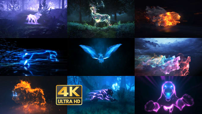 Video intro outro of animal, logo animation by Hi_franka | Fiverr