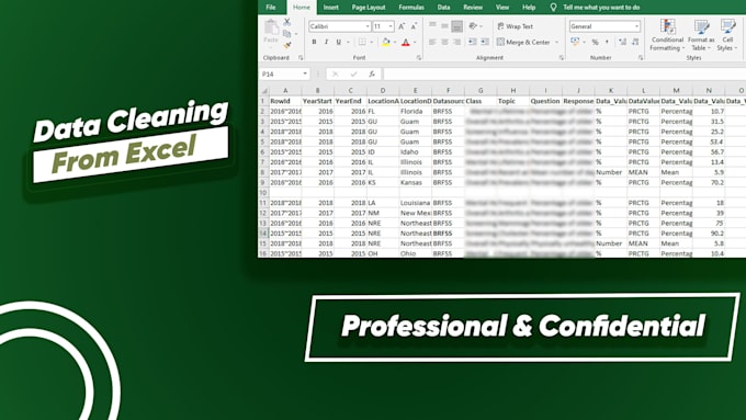 Do data cleaning from excel by Editordg | Fiverr