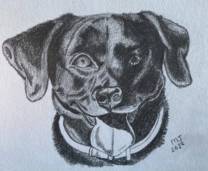 Sketch and draw a portrait of your dog in semi realism by ...