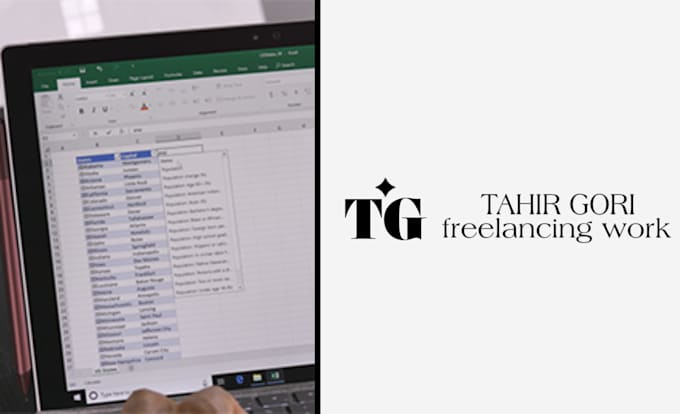 Data Formatting Cleaning Correction Deduplicate And Entry By Tahirgori884 Fiverr