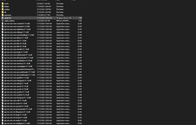 Set up your fivem vps and discord
