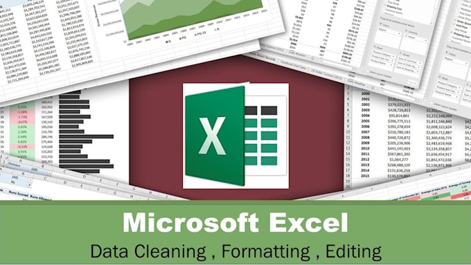 Do excel data cleaning formatting editing and removing duplicate data by Roohaysh | Fiverr
