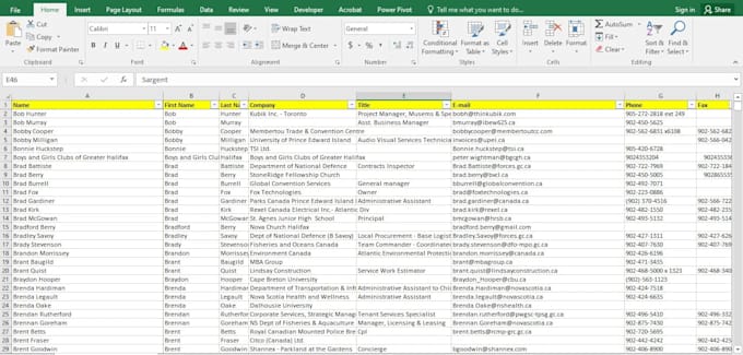 Do excel data cleaning ,ms excel, excel data, entry excel data analysis ... Do excel data cleaning ,ms excel, excel data, entry excel data analysis ...
