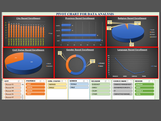 Do custom data dashboard and data visualization in excel by Jobson31 ...