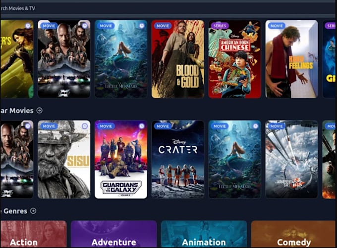 Setup plex media server, emby, jellyfin, sonarr, radarr, synology ...