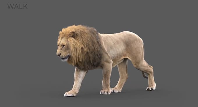 Render realistic 3d animal animation, 3d unity animal, 3d unreal engine ...