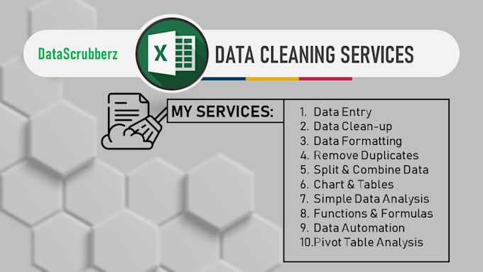 Do accurate data entry, data cleaning, and formatting by Zaidismail9617 | Fiverr