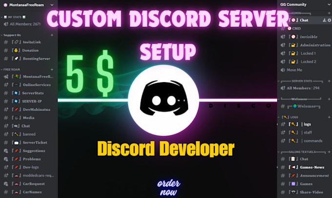 Setup best custom discord server by Amir_dev_ | Fiverr