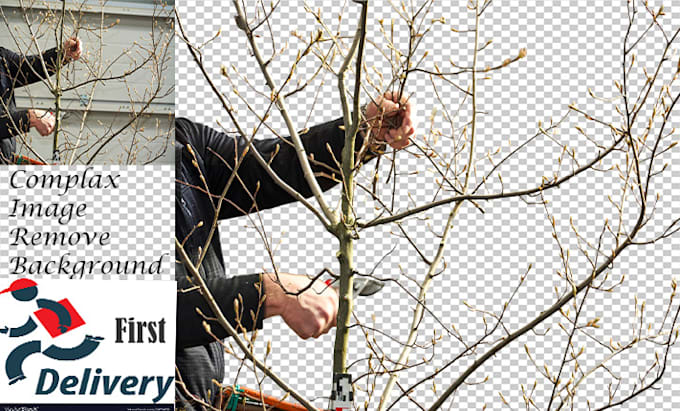 Remove background for complex image by Alokeshmojumder | Fiverr