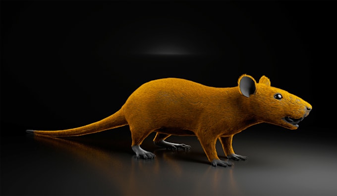 Realistic 3d animal model, animal animation rendering, xgen fur, animal ...