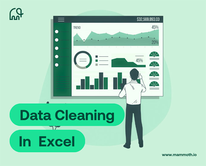 Clean excel data and format it as per need by Dj1188 | Fiverr