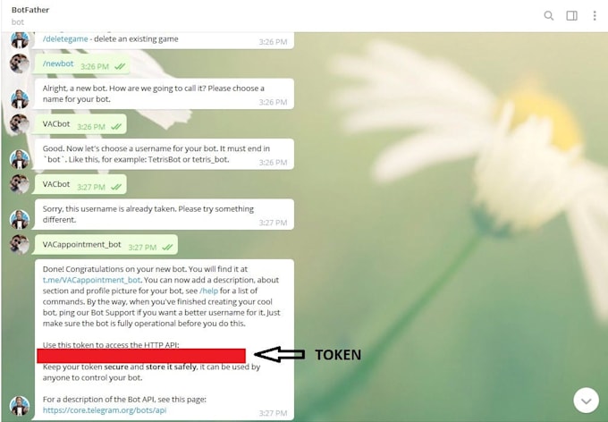 Book appointment bot, vfsglobal bot, us visa bot, tls bot, embassy bot, vfs bot by Void_end | Fiverr