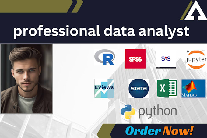 Professional Data Analyst With Stata Sas R Jupyter Notebook Spss And Python By Adilnabi993 