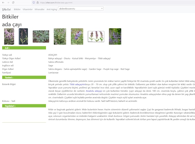 Develop backend systems and configure servers by Ozkan5624 | Fiverr
