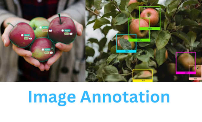 Do Image Annotation Segmentation Data Labeling For Computer Vision Ai By Tanzidpro Fiverr