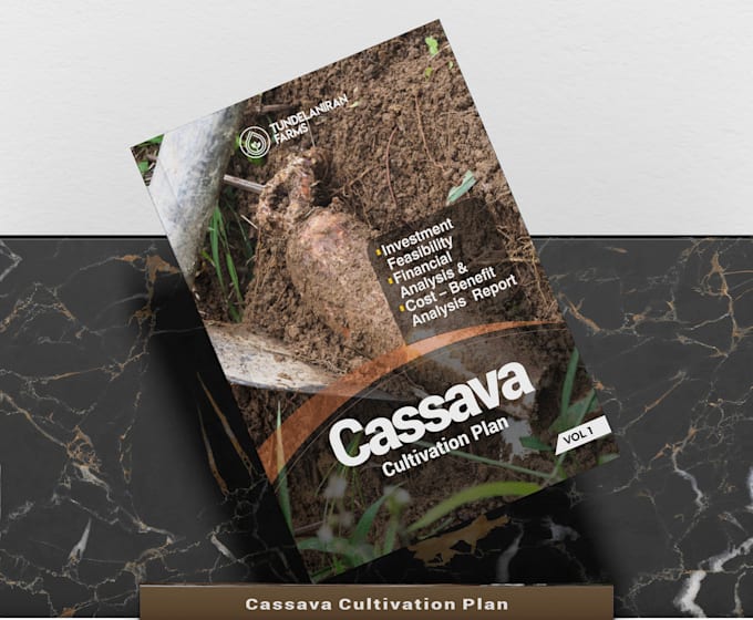 Give you our detailed cassava or yuca farming investment feasibility ...