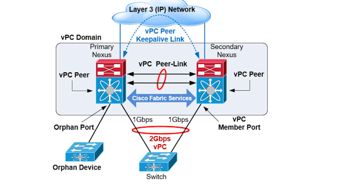 Configure nexus 2k 3k 5k 9k within shortest time by Hannanhosen | Fiverr