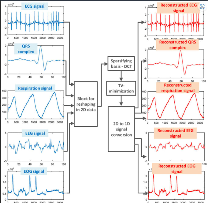 Do Biomedical Image Processing Signal Processing In Python By Tania