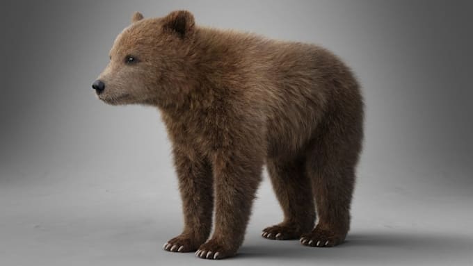 Render 3d animal model, 3d animal rigging, groom xgen fur, 3d animal ...