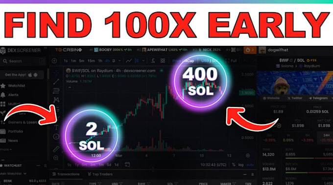 Pump your solana meme coin visibility and volume to rank on dextool ...