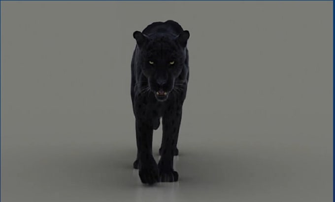 3d jaguar animation 3d cheetah animation 3d animals animation realistic for you by David ...