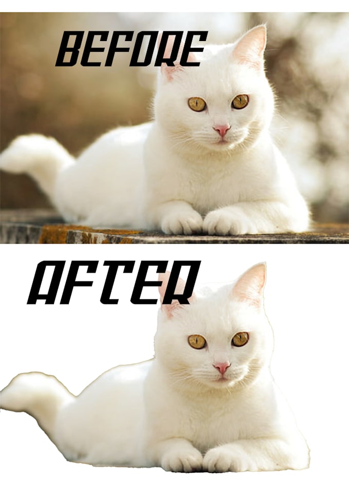 Remove image background , convert jpej logo into png by Design_by_saqib ...