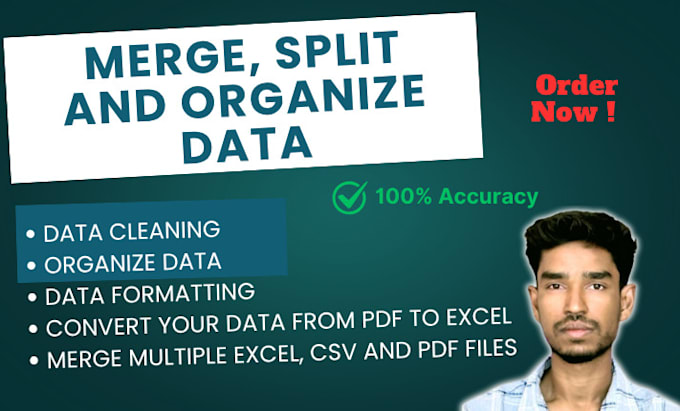 Combine and organize data from excel, csv, or pdf by Jaideep_markam | Fiverr