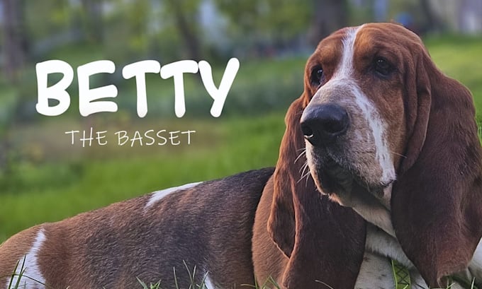 Create dog ugc video ads for your product by Karkachvr | Fiverr