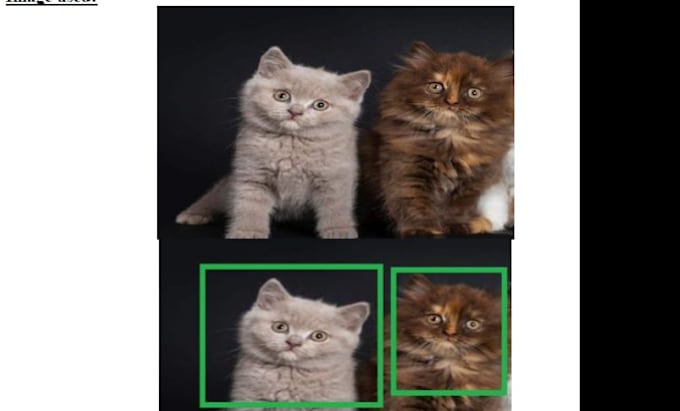 Do object detection, preprocessing and bounding box by Nimraakram_ | Fiverr