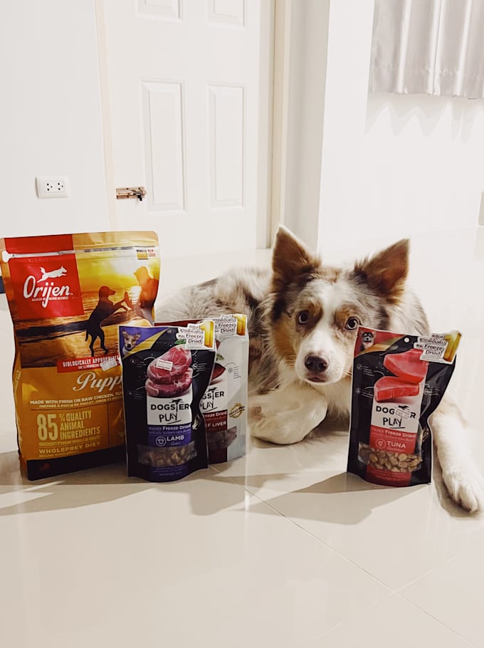 Create ugc video ad with dog model by Weks_atury | Fiverr