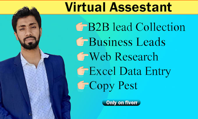Be your virtual assistant for b2b lead collector and excel data entry ...