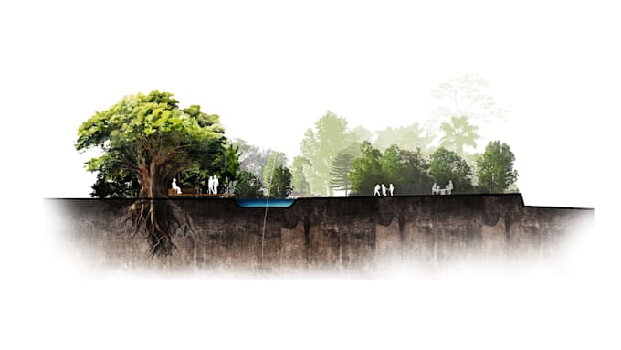 Create unique architectural perspectives, sections, and elevations ...