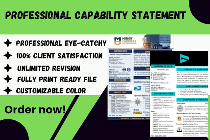 Design modern government capability statement for government ...