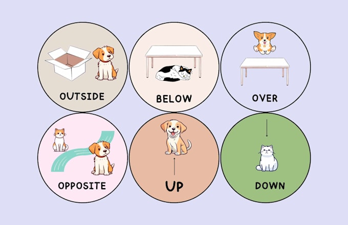 Satisfy your curiosity and knowledge by Maubao | Fiverr