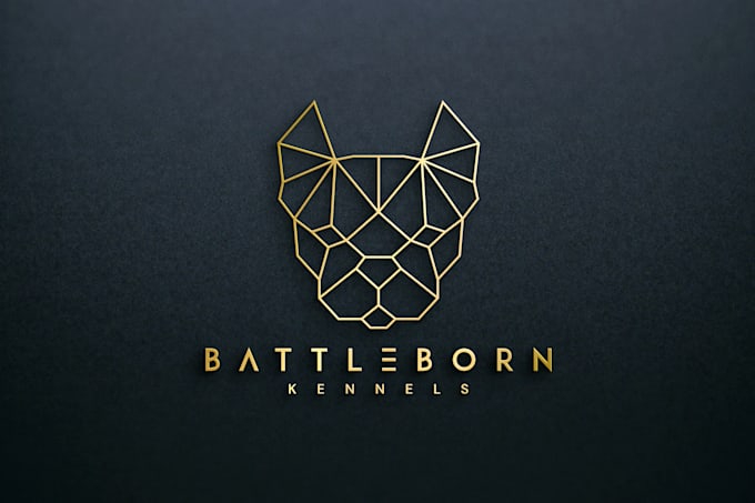 Design an unbeatable geometric logo design by Adbyameli | Fiverr