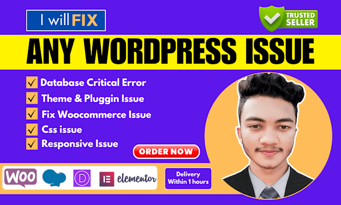 Fix any wordpress issue, css, critical error within 1 hour by Designer ... Fix any wordpress issue, css, critical error within 1 hour by Designer ...