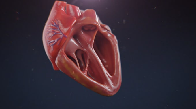 Create medical animations for you by Kathearte | Fiverr