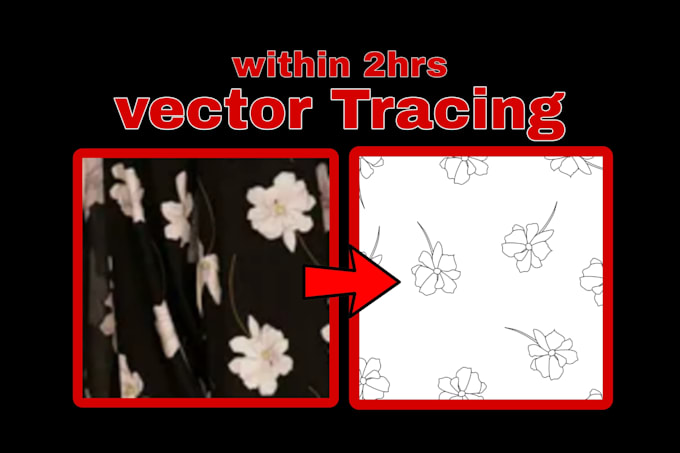 Vector tracing and redraw on illustrator by Faryalnn | Fiverr