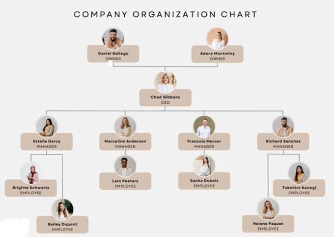 Design your company organograms and organizational structure by Rana ...