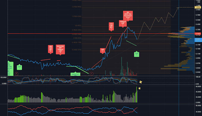 Set up profitable script and trading plan, smc strategy, code your trading bot by Kiverigo | Fiverr